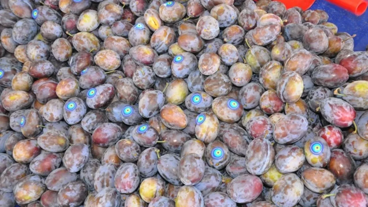 TOKATLI ESNAFTAN NAZARA KARŞI ETİKETLİ ÖNLEM! - Hürsöz Gazetesi