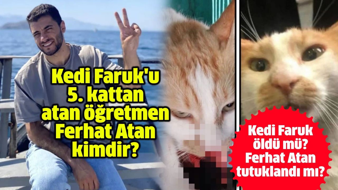Kedi Faruk'u 5. kattan atan öğretmen Ferhat Atan kimdir? Kedi Faruk öldü mü? Ferhat Atan ...