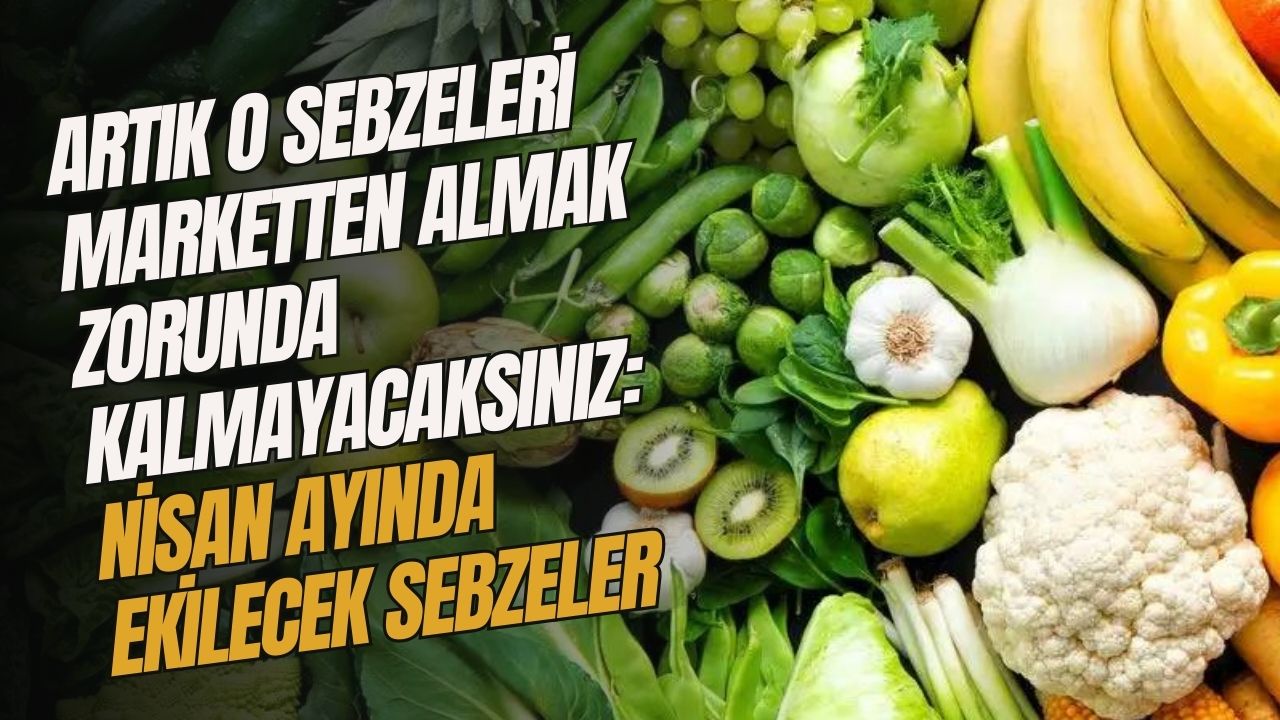 Artık O Sebzeleri Marketten Almak Zorunda Kalmayacaksınız: Nisan Ayında ...
