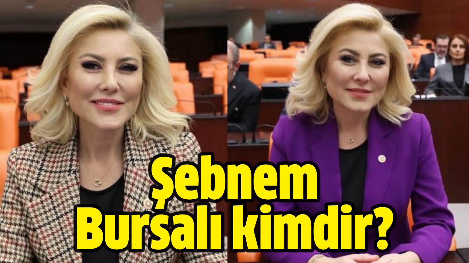 Şebnem Bursalı kaç yaşında, nereli, mesleği ne? Şebnem Bursalı kimdir ...